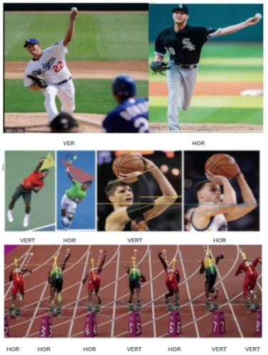 Vertical or Horizontal Organization - Motor Preferences in Baseball