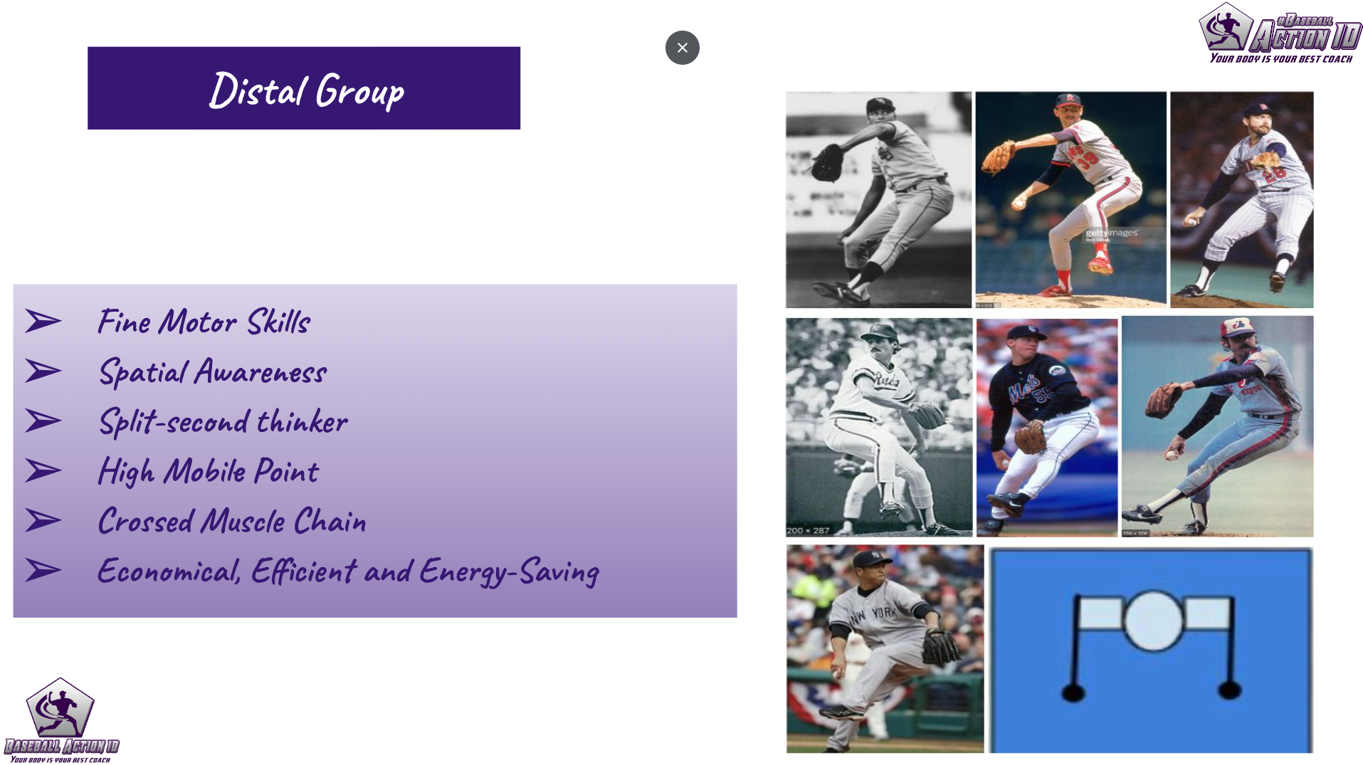 The Art of Pitching whitin the Distal ‘Motor’ Group - Motor Preferences ...